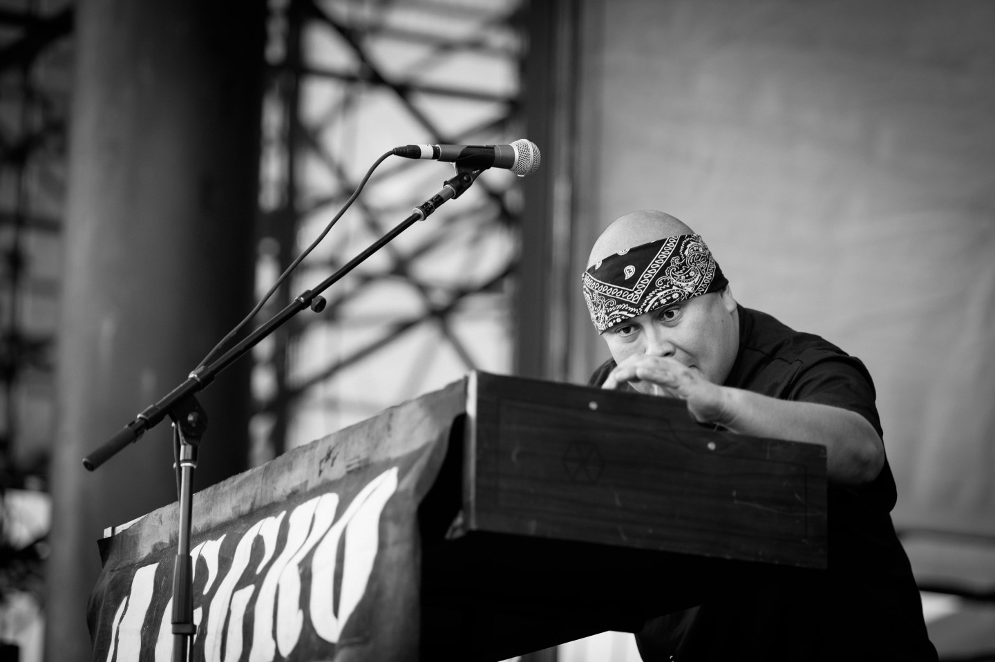 The Aggrolites at Charter One Pavilion - Lost In Concert